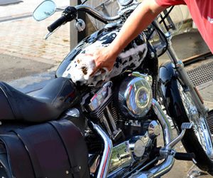 Motorcycle Detailing | Elkhorn Auto Spa & Paint Correction | Omaha, NE